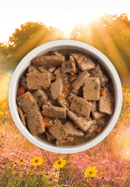 ACANA Beef Recipe in Bone Broth Premium Chunks Wet Dog Food - Canton ...